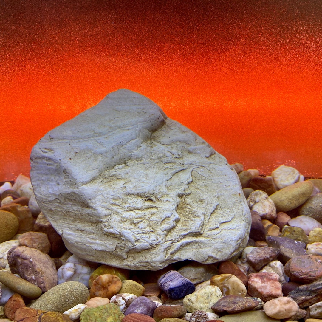 Real Rock Aquarium Decor - Etsy