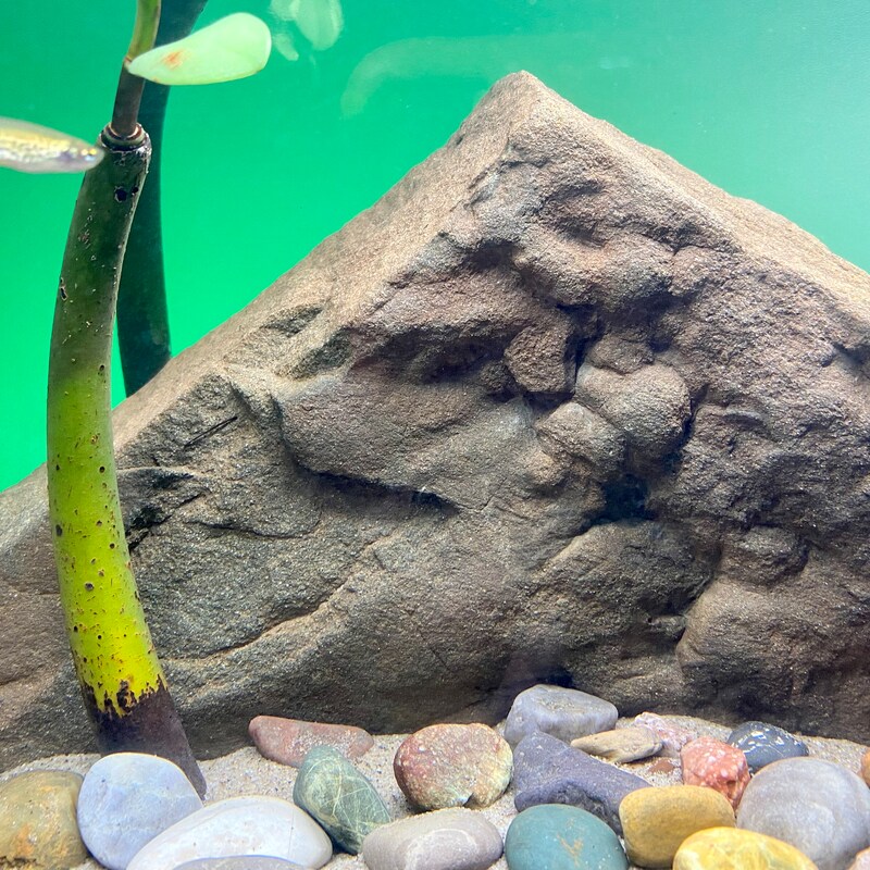 Aquarium Rock Decor - Etsy