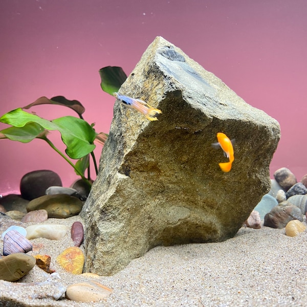 Aquarium Rock - Etsy