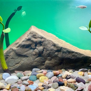 Large Aquarium Rock - Natural Stone Decor for Aquascaping Hardscaping ...