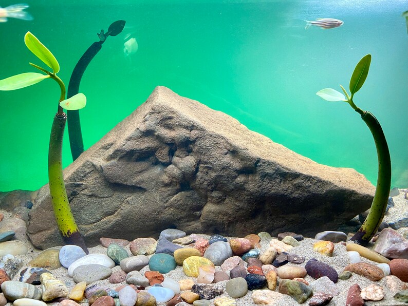 Large Aquarium Rock Natural Stone Decor for Aquascaping Hardscaping - Etsy