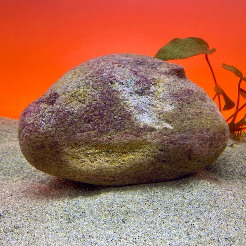 Natural Aquarium Rock Decor - Etsy