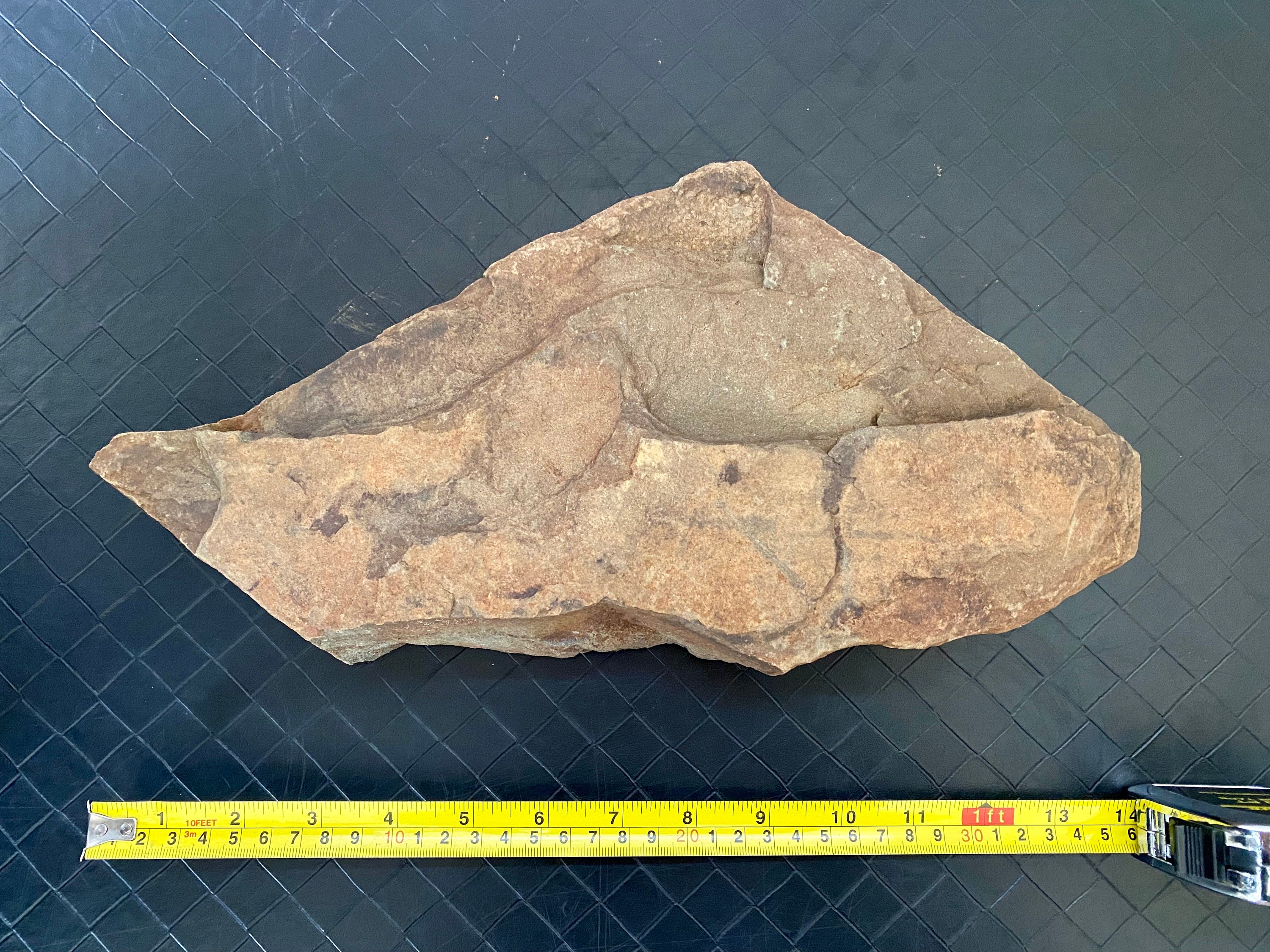 Large Aquarium Rock Natural Stone Decor for Aquascaping Hardscaping - Etsy