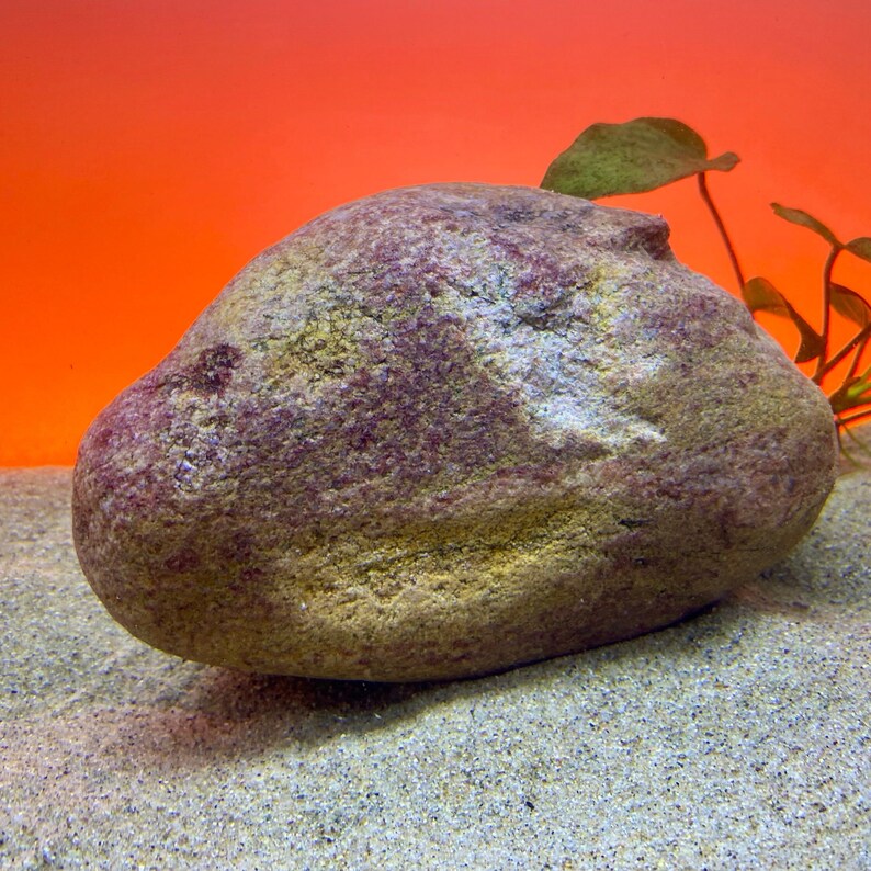 Natural Aquarium Rock Decor - Etsy