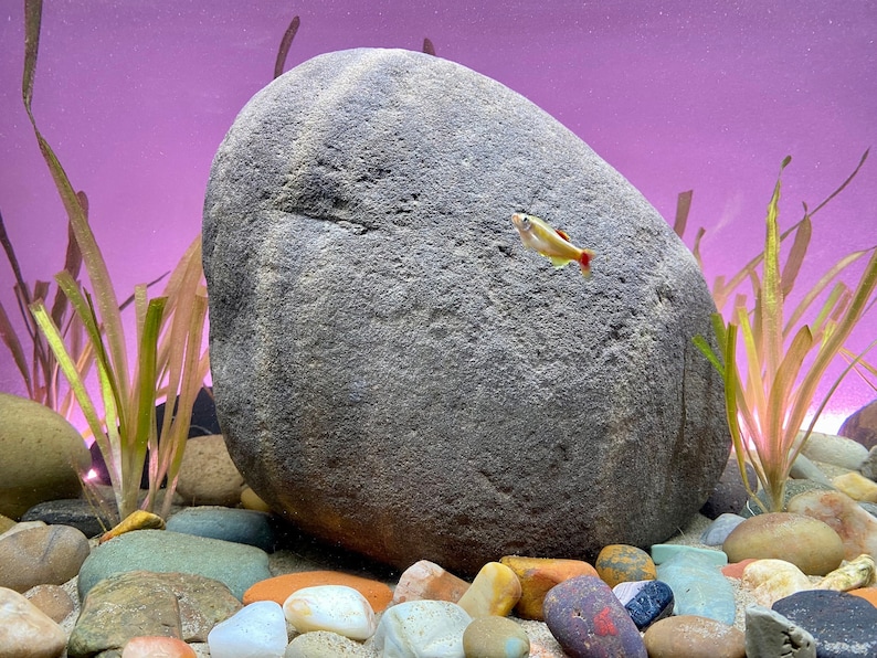 Extra Large Aquarium Rock Natural Decor for Aquascaping - Etsy