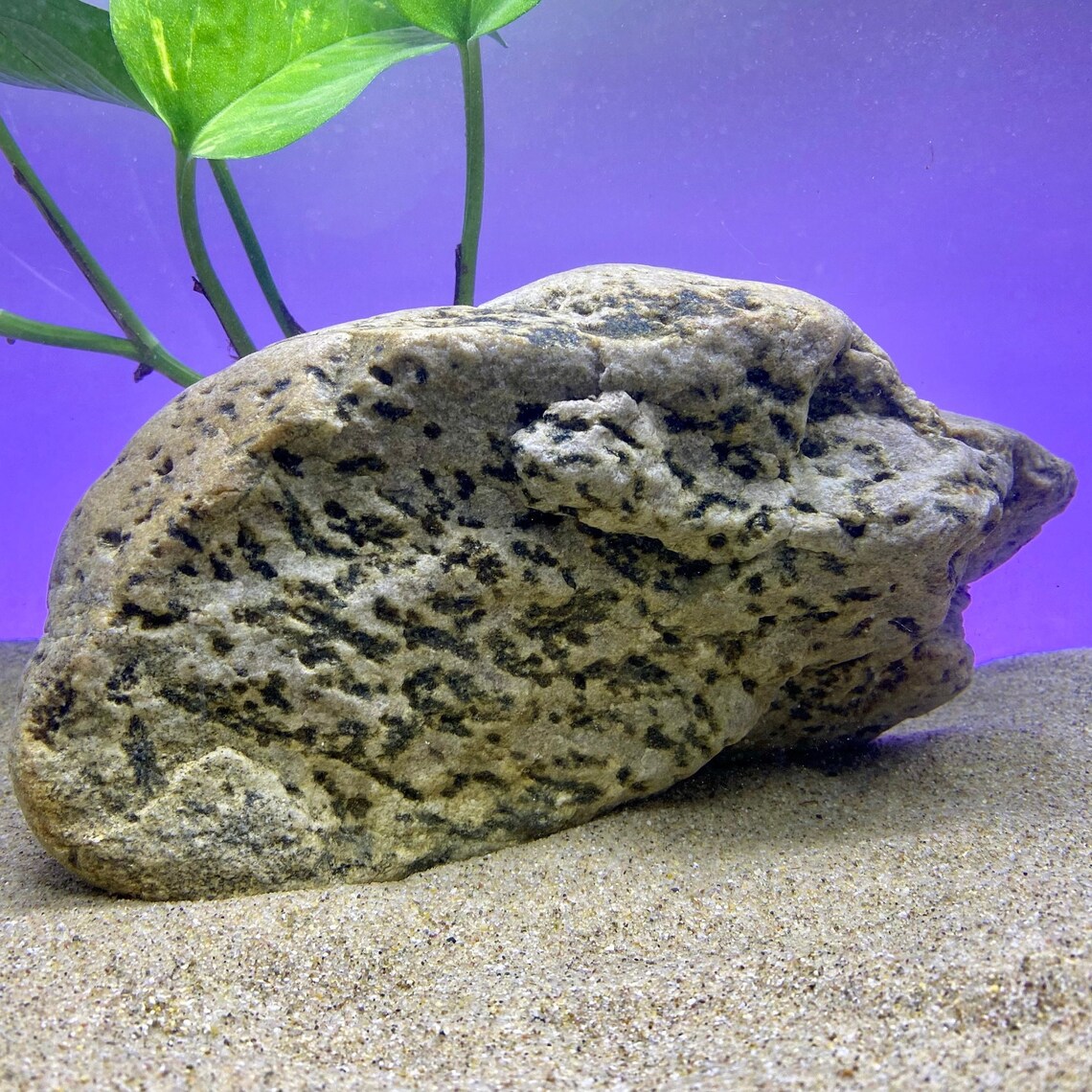 Large Aquarium Rock Decor - Etsy