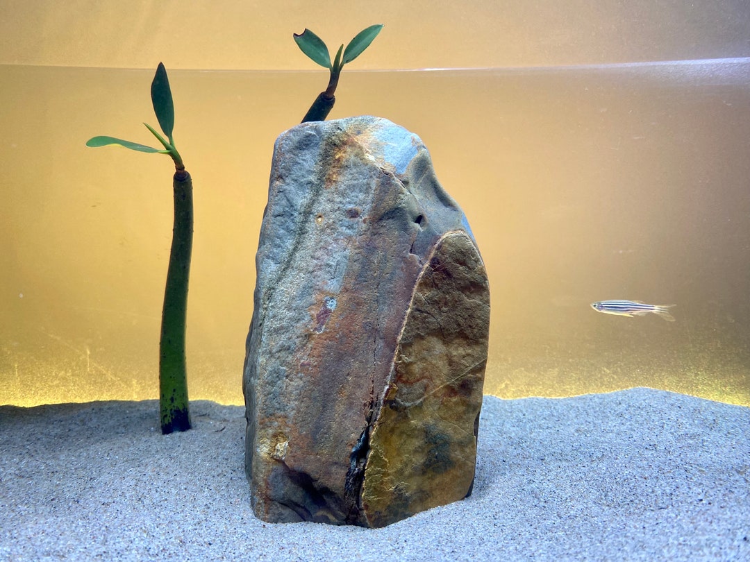 Natural Rock Medium Stone Fish Tank Rock Real Rock Decor for ...