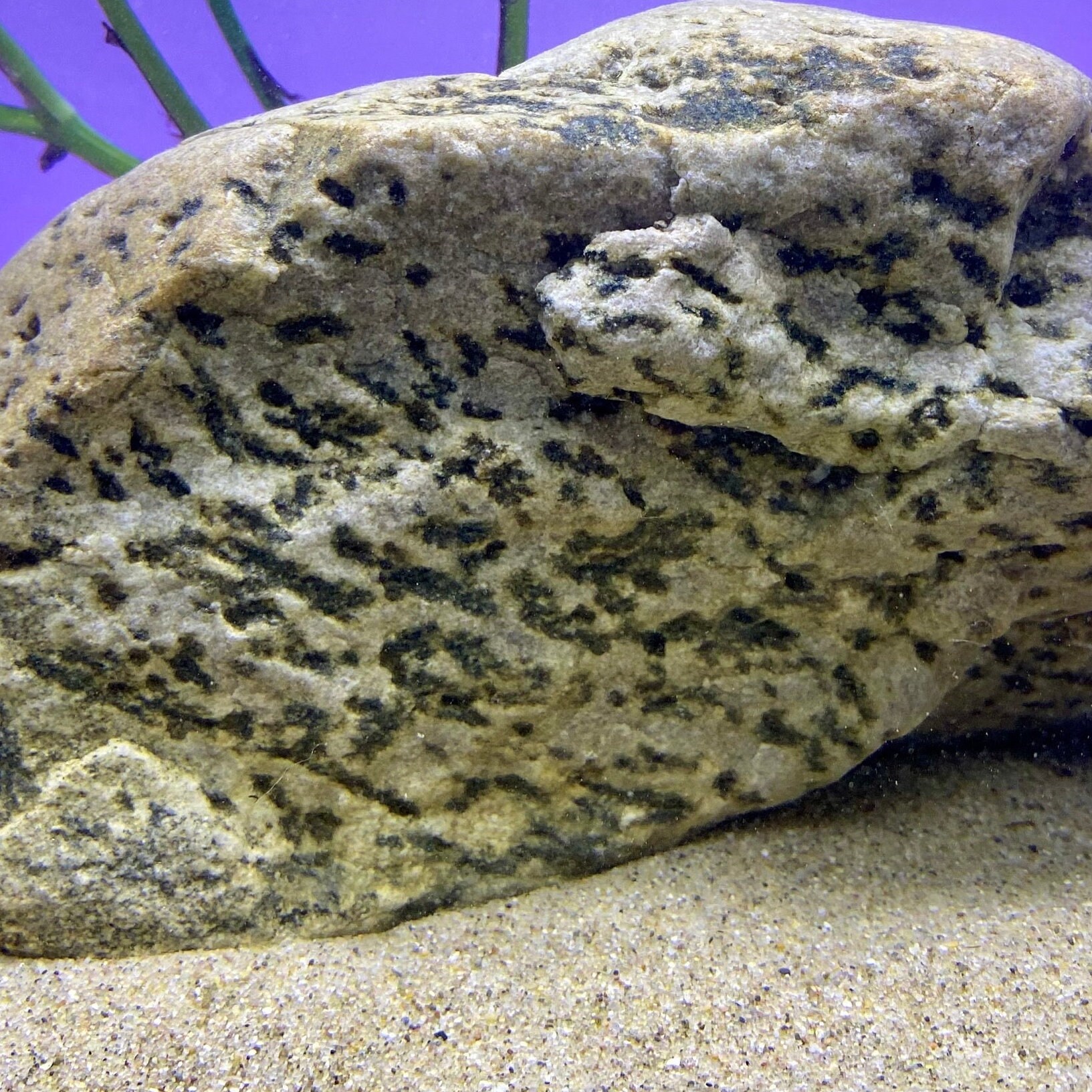 Large Aquarium Rock Decor - Etsy