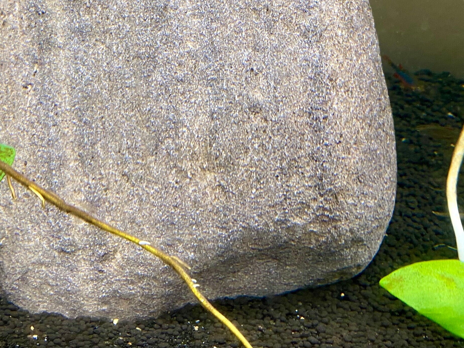 Large Aquarium Rock - Etsy