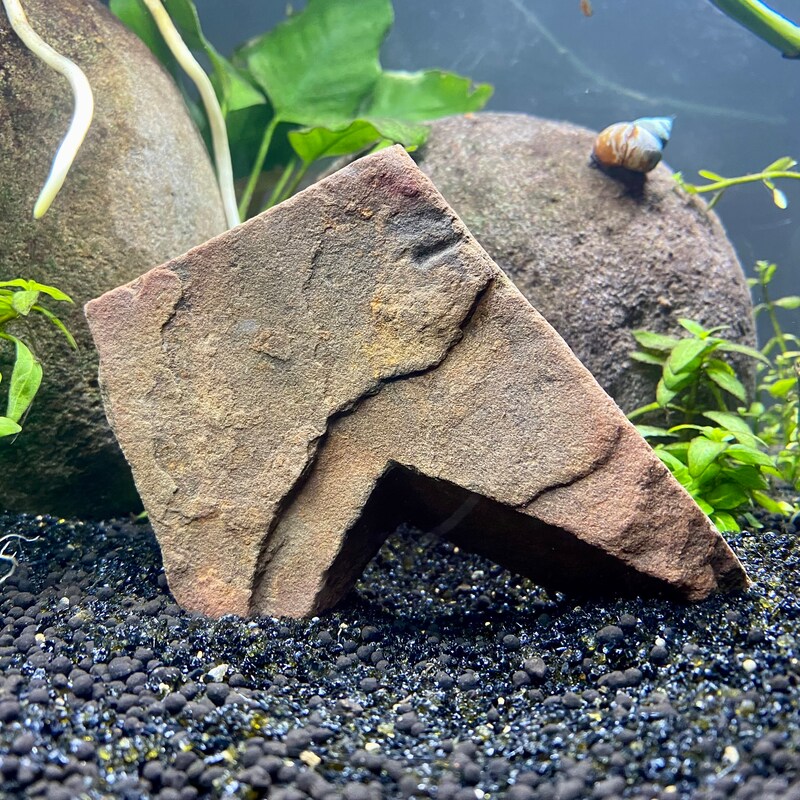 Aquarium Rock - Etsy