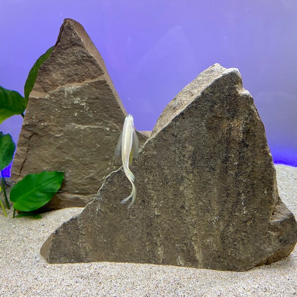 Aquarium Rocks - Etsy