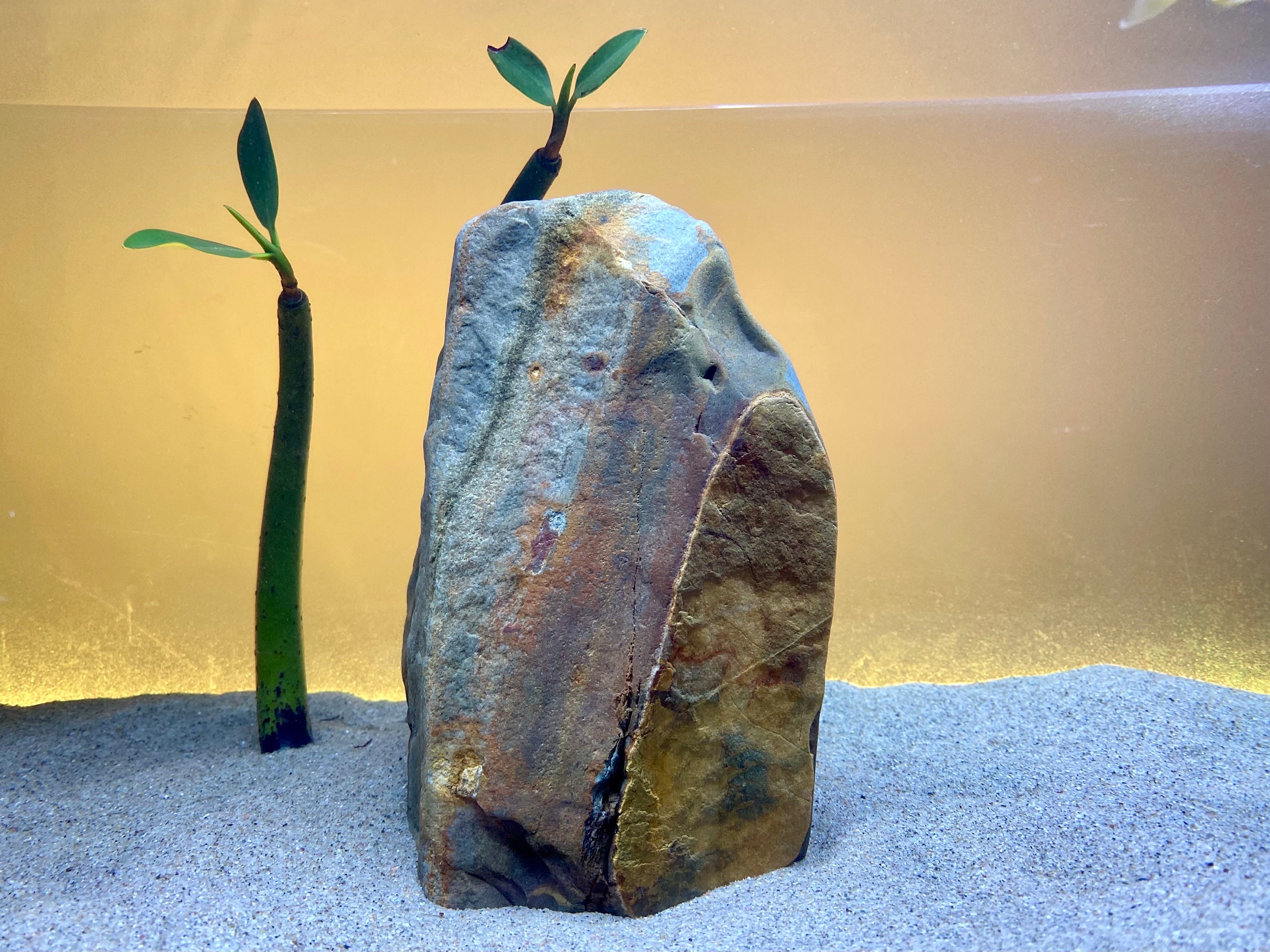 Natural Rock Medium Stone Fish Tank Rock Real Rock Decor for ...