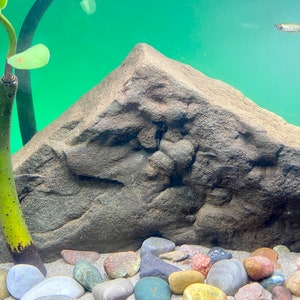 Large Aquarium Rock - Natural Stone Decor for Aquascaping Hardscaping ...