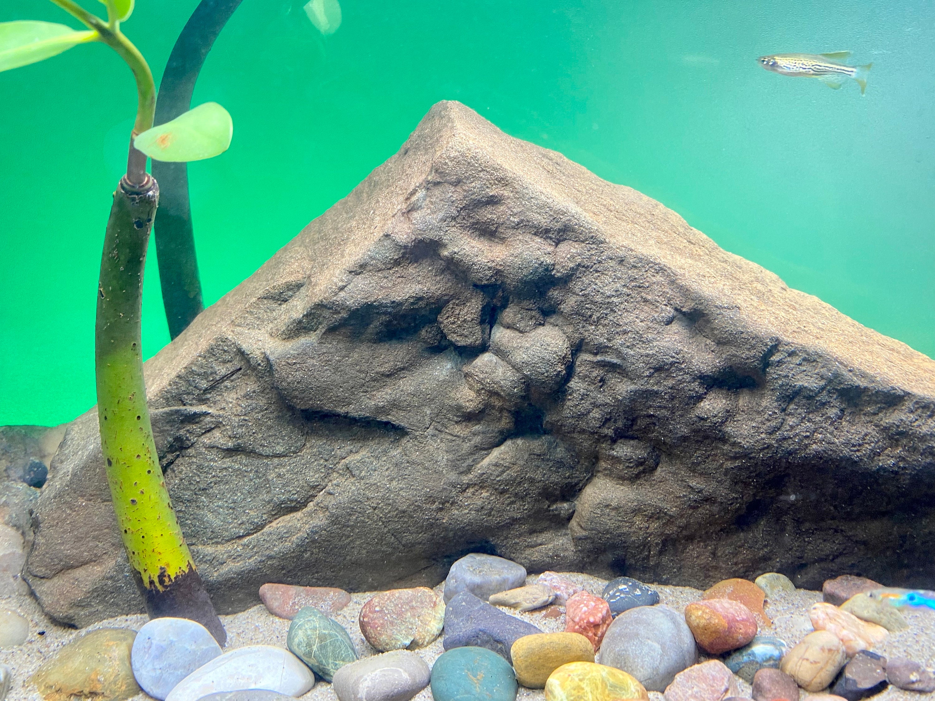 Large Aquarium Rock Natural Stone Decor for Aquascaping Hardscaping - Etsy