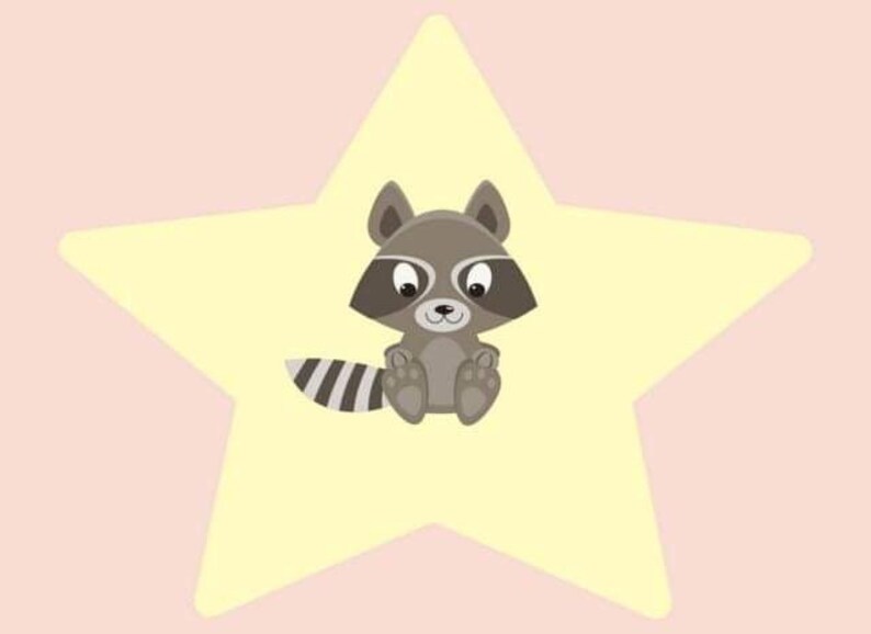Raccoon Star - Etsy