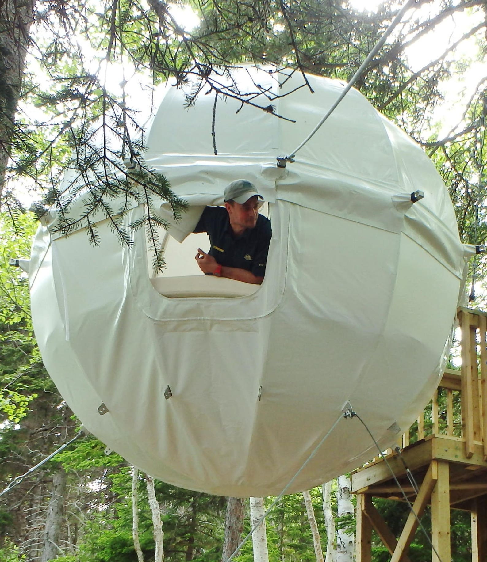 Cocoon Tree Tree House Glamping Cozy Cocoon Tent Cocoon - Etsy