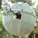 Cocoon Tree, Tree House, Glamping, Cozy Cocoon Tent, Cocoon Tree House ...