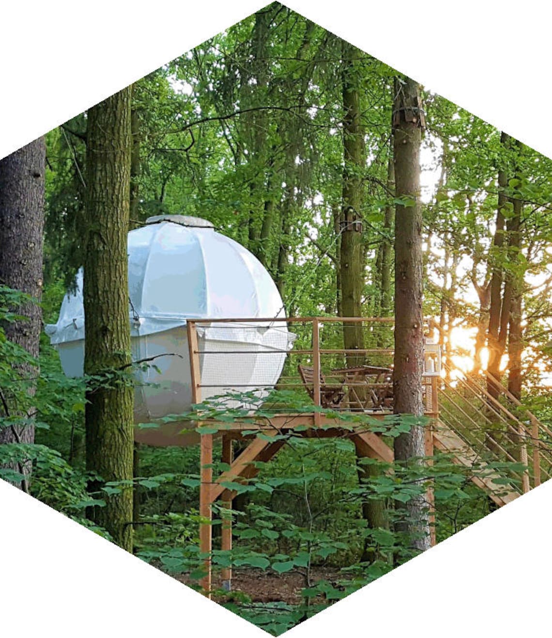 Cocoon Tree Tree House Glamping Cozy Cocoon Tent Cocoon - Etsy