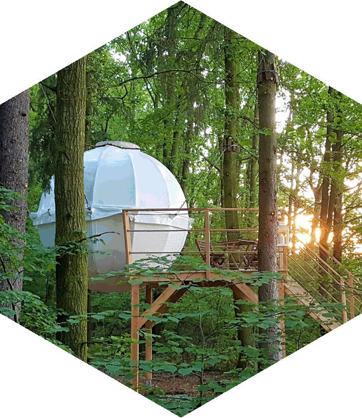 Cocoon Tree Tree House Glamping Cozy Cocoon Tent Cocoon - Etsy