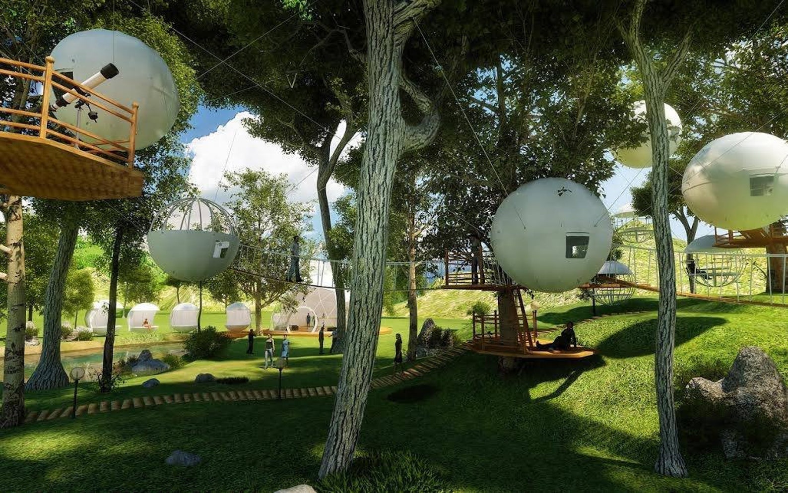 Cocoon Tree, Tree House, Glamping, Cozy Cocoon Tent, Cocoon Tree House ...