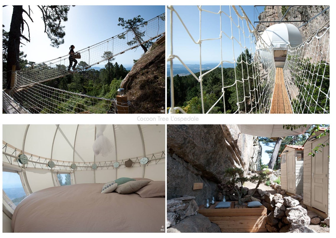 Cocoon Tree Tree House Glamping Cozy Cocoon Tent Cocoon - Etsy