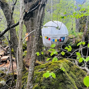 Cocoon Tree, Tree House, Glamping, Cozy Cocoon Tent, Cocoon Tree House ...