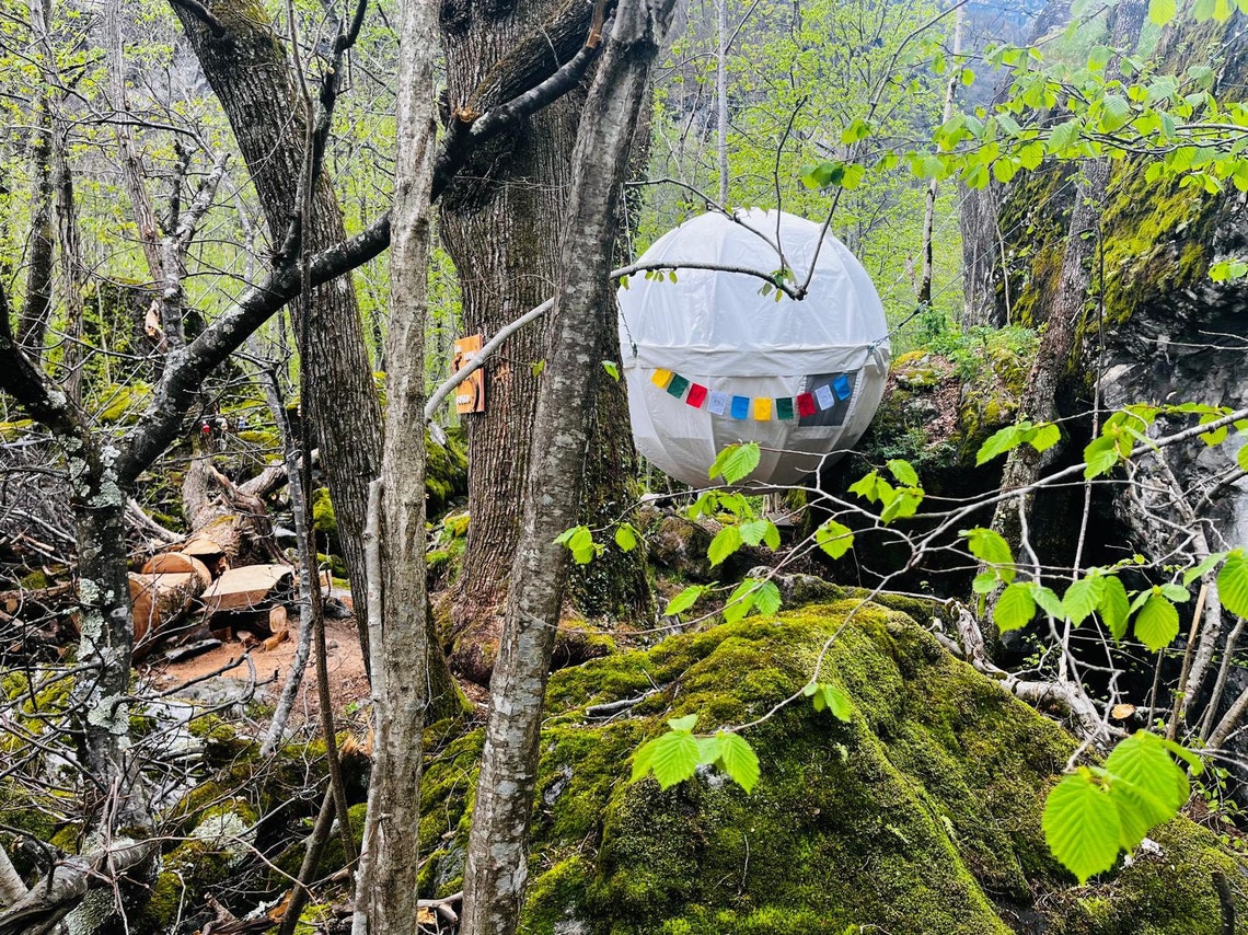 Cocoon Tree, Tree House, Glamping, Cozy Cocoon Tent, Cocoon Tree House ...