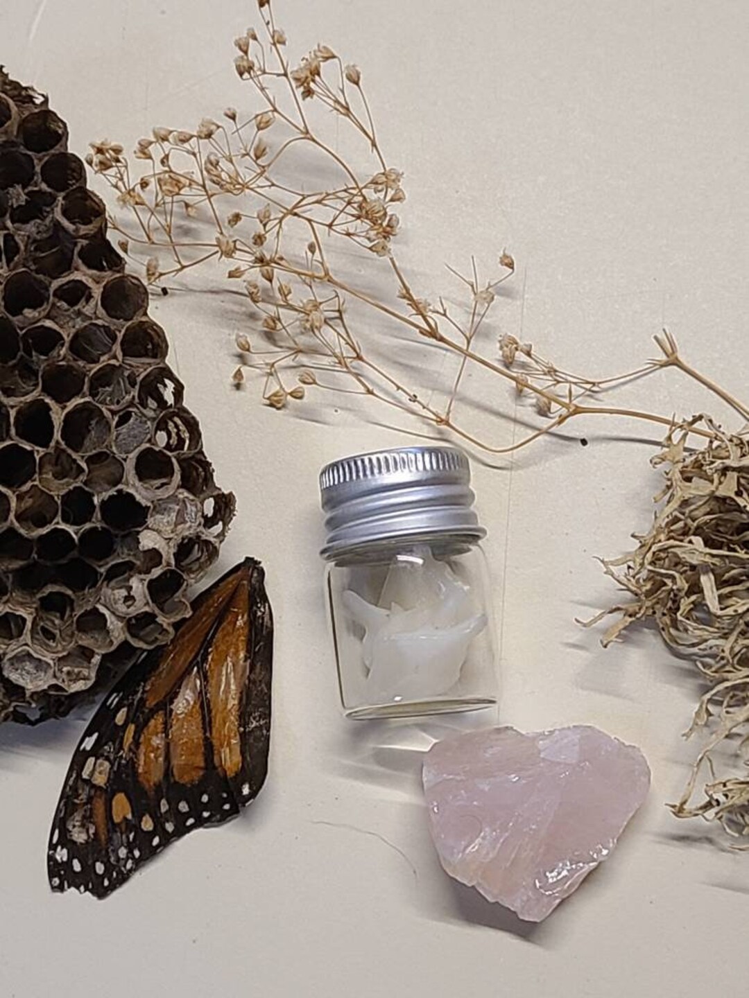 Really Cool Gar Scales in Tiny Glass Jar Display - Etsy