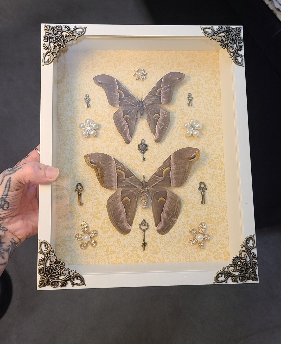 Sweet Silk Moth Pair in Vintage Feel Display - Etsy