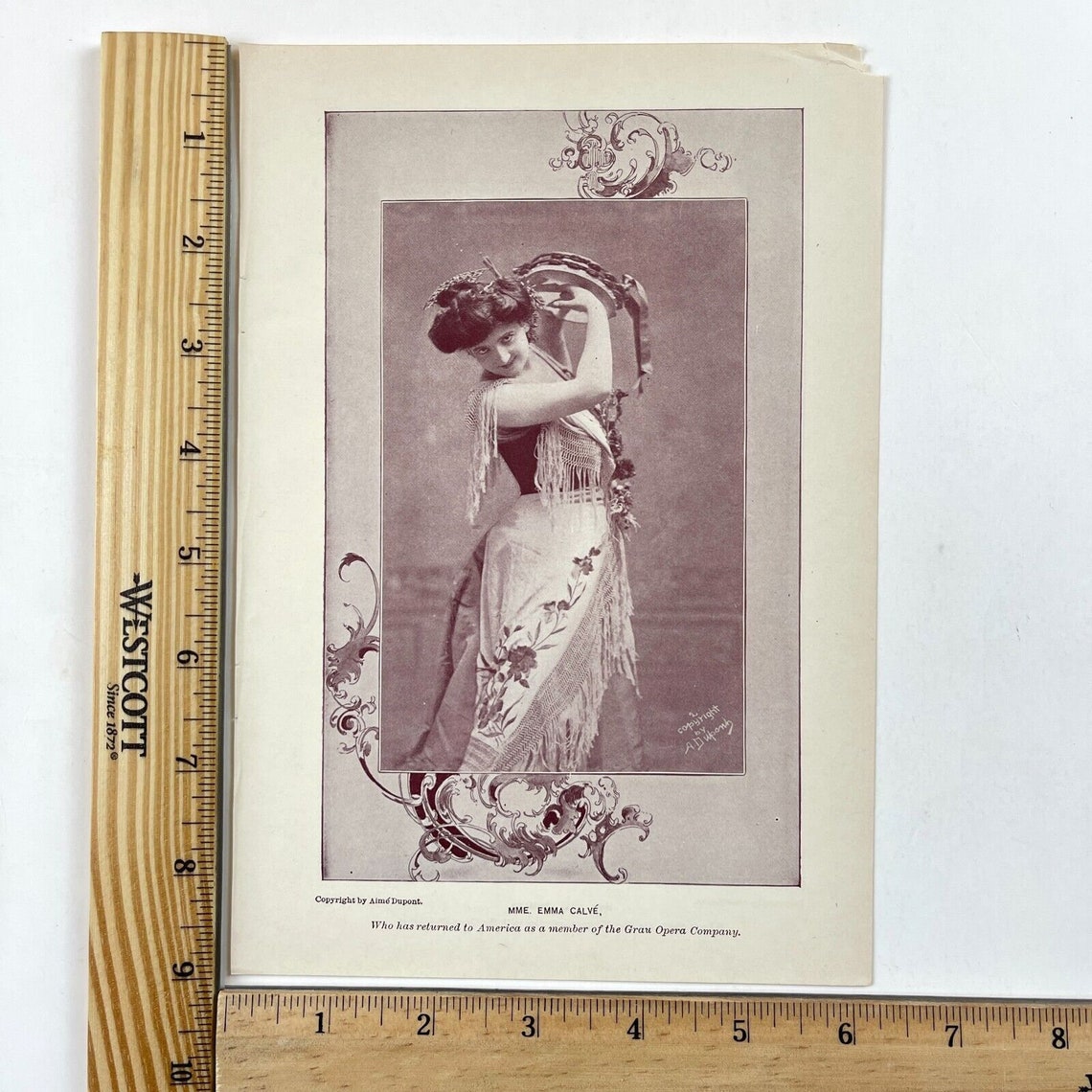 Vintage Victorian Book Page Print of Bell Époque Era Opera Singers Emma ...