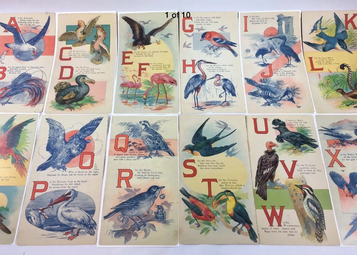 ABC Alphabet of Birds Complete Set of Original Lithographs 1916 - Etsy