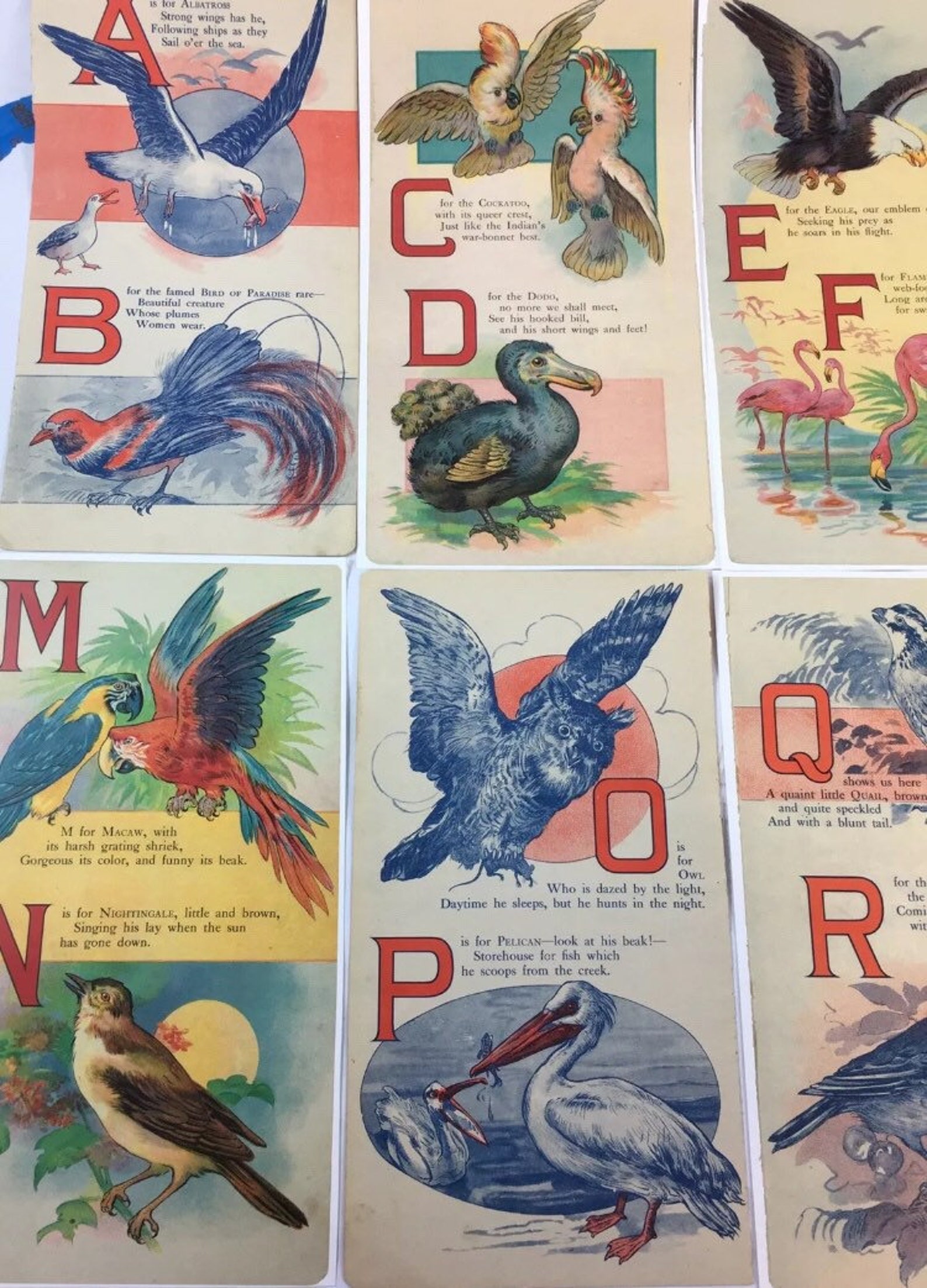 ABC Alphabet of Birds Complete Set of Original Lithographs 1916 - Etsy