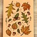 Fall Leaves Coloring Page Digital Download, Printable Fall Themed ...