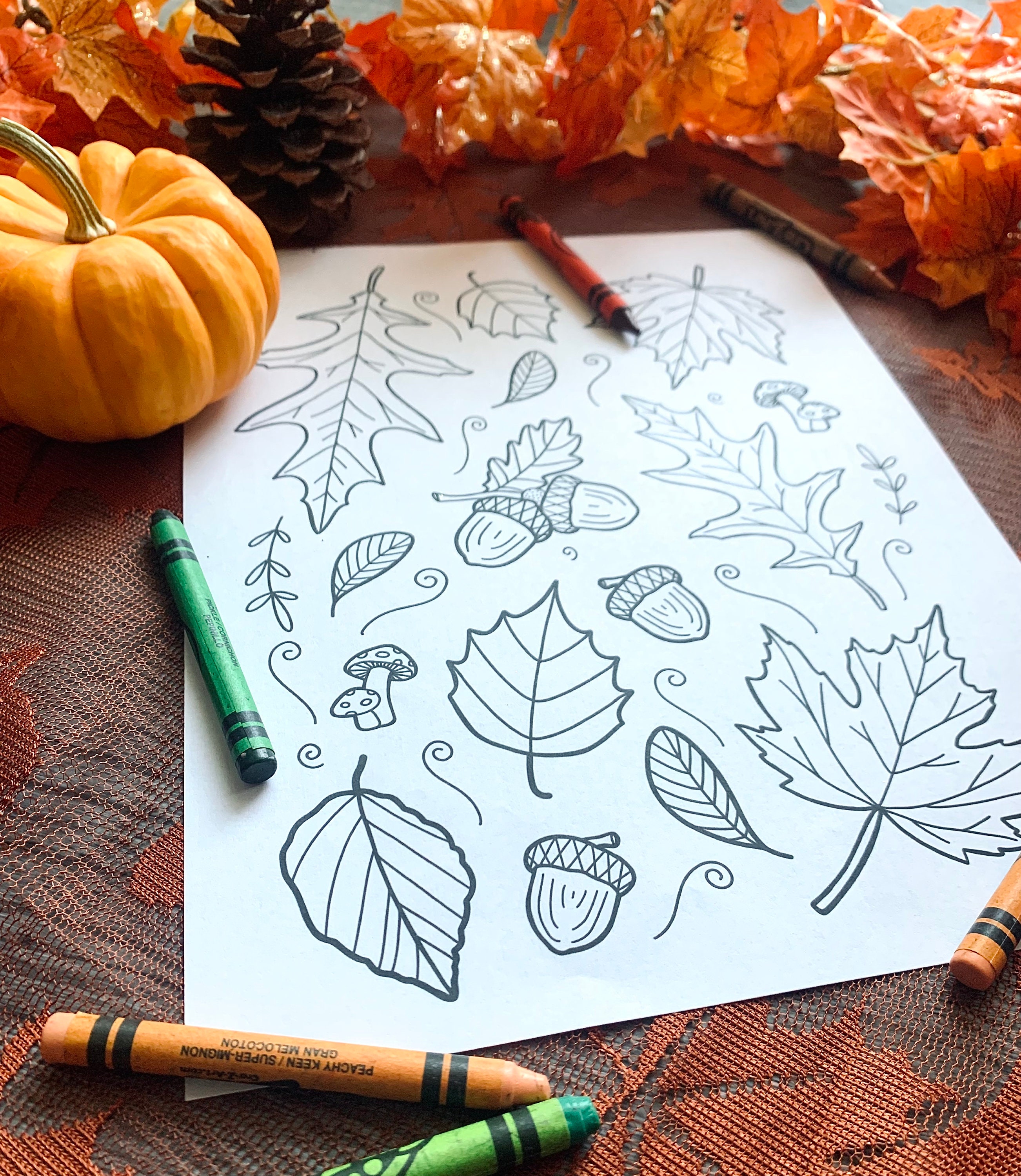 Fall Leaves Coloring Page Digital Download, Printable Fall Themed ...