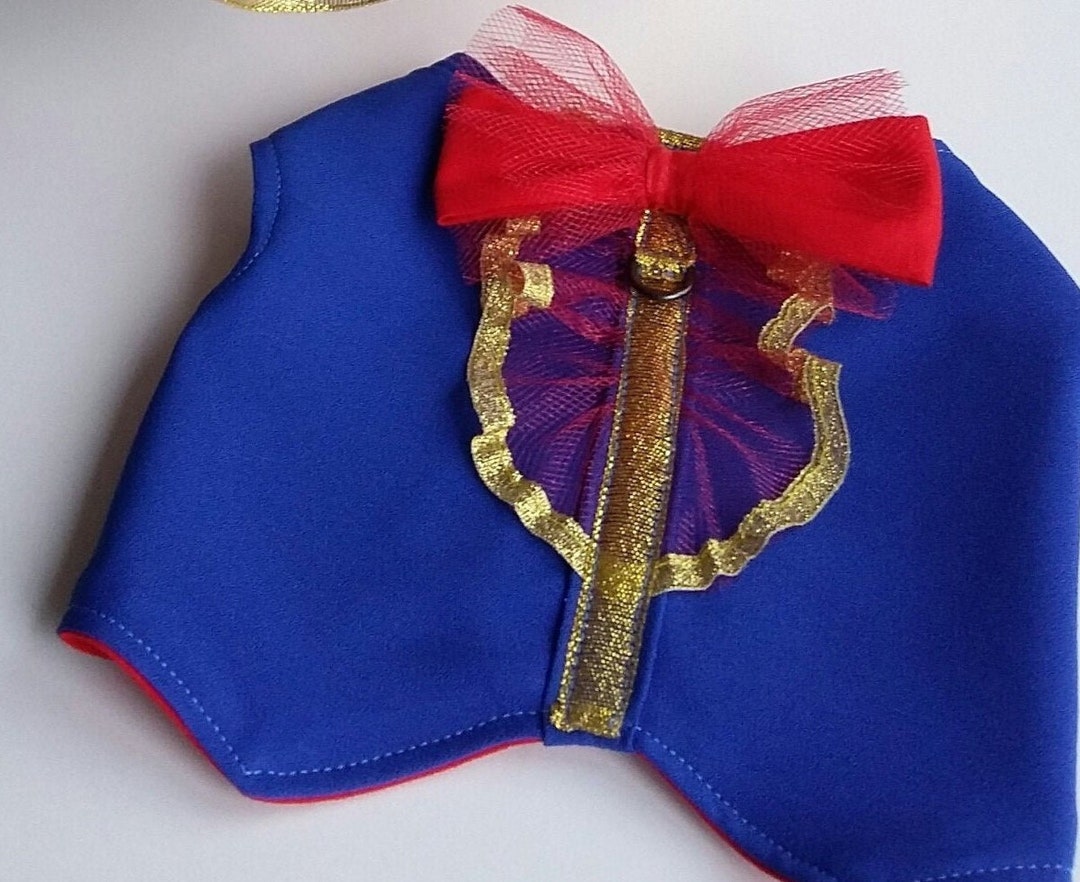 Elegant Blue Dog Vest With Red Lining, Dog Clothes, Small and Medium ...