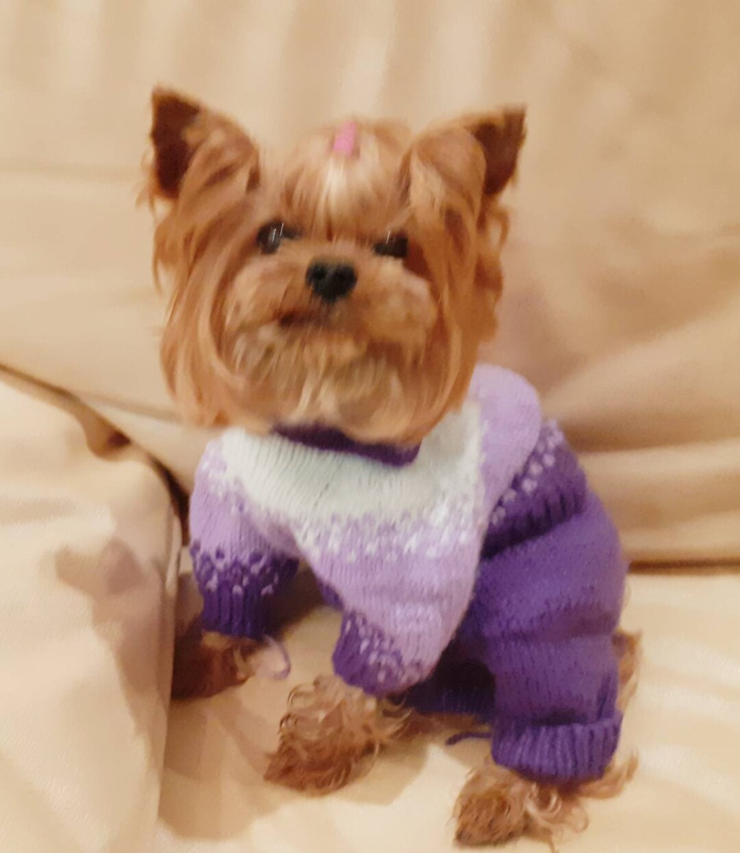 Knitted Jumpsuit for Small Medium Dogs, Knitt Dog Overalls, Custom Dog ...