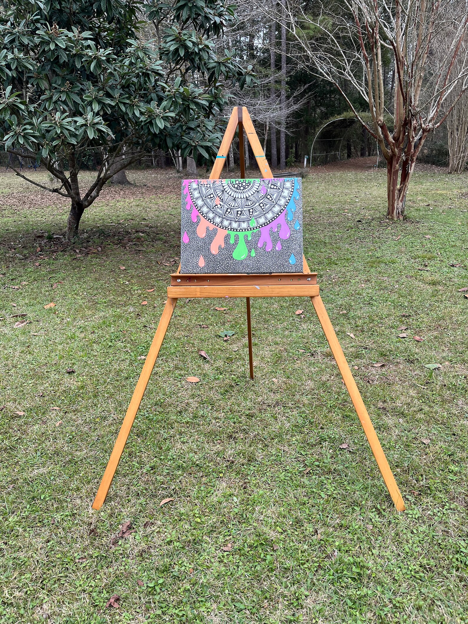 Colorful Mandala Drip Acrylic Painting - Etsy