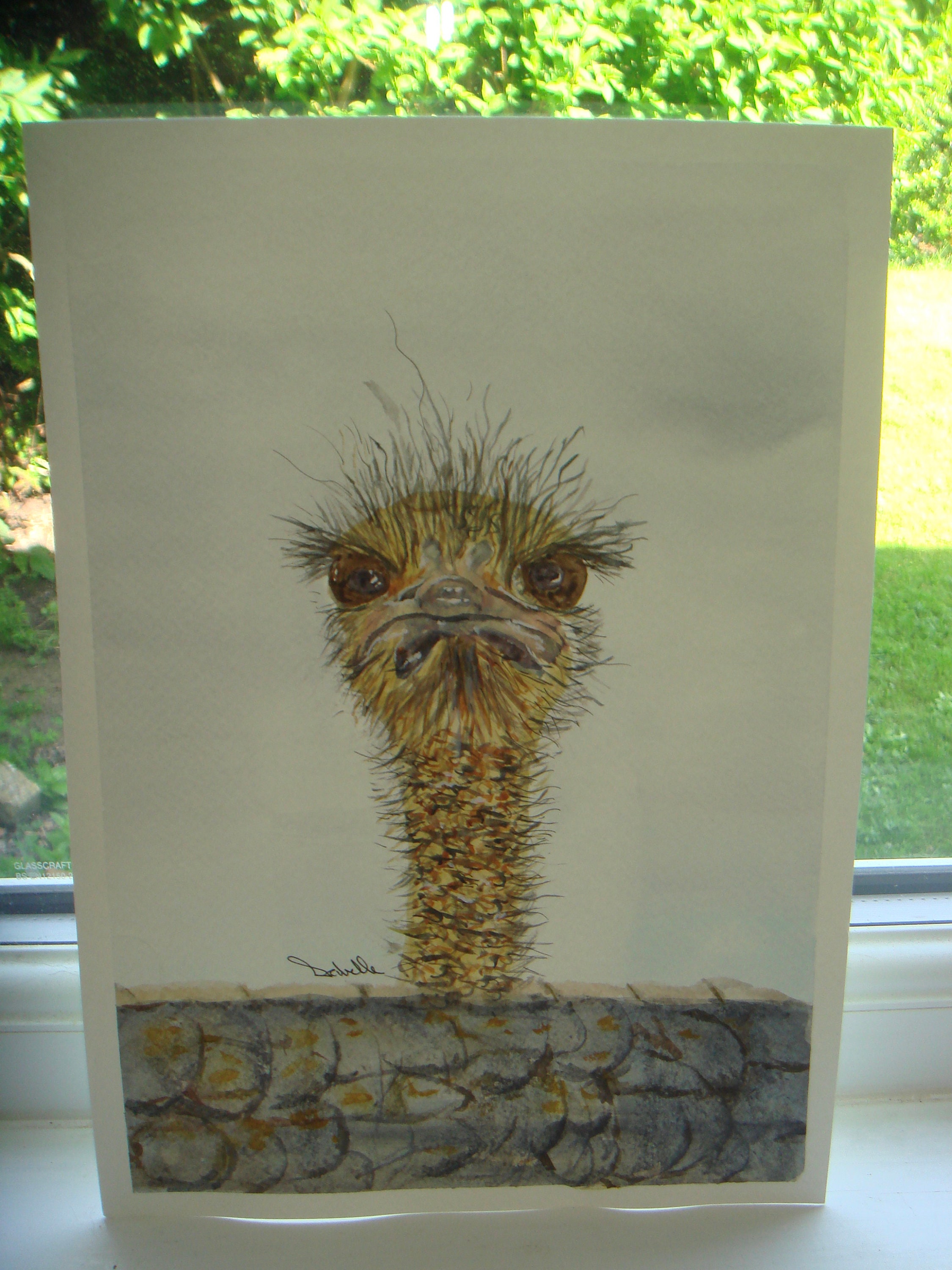 Original Signed Art Work & Certificate Watercolour Ostrich A4 Plus ...