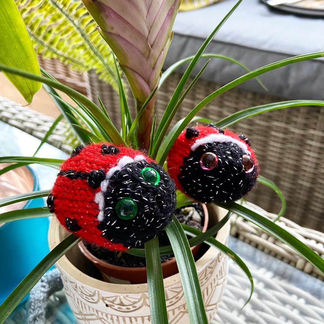Linden the Ladybird Ladybug Knitting Pattern PDF - Etsy