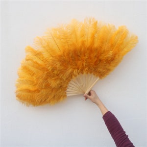 Burlesque Fans,dance Feather Fans,,ostrich Feather Fans,size ...
