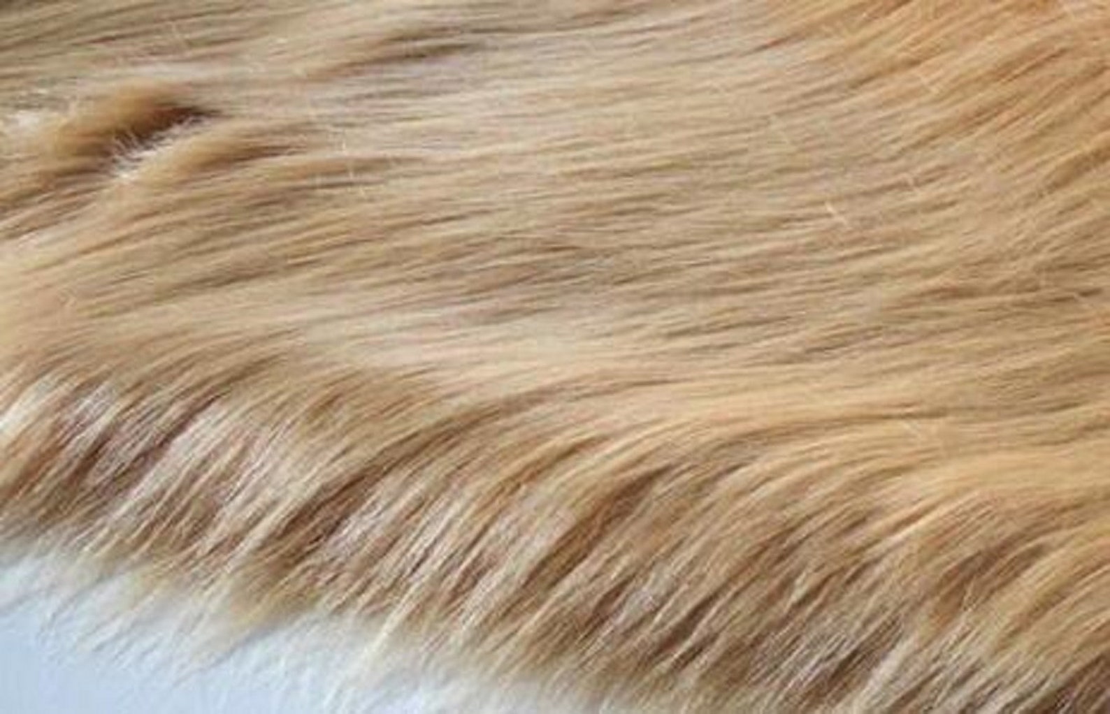 Light Brown Camel Faux Fur Craft Squares Fur Fabric - Etsy Australia