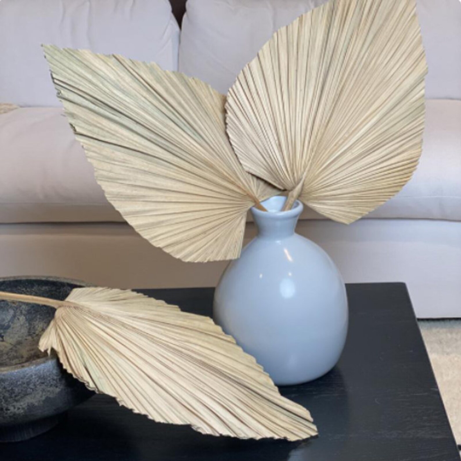 6pieces Large Palm Leaves Dried Trimmed Organic Tropical Palm | Etsy