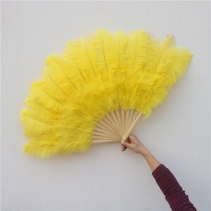 Burlesque Fans,dance Feather Fans,,ostrich Feather Fans,size ...