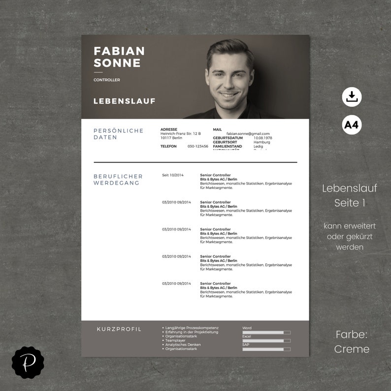 Modern Resume Template, Application Template German, Creative Resume ...