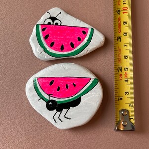 Mini Watermelon and Ants Painted Rock SEALED Set of 2 - Etsy