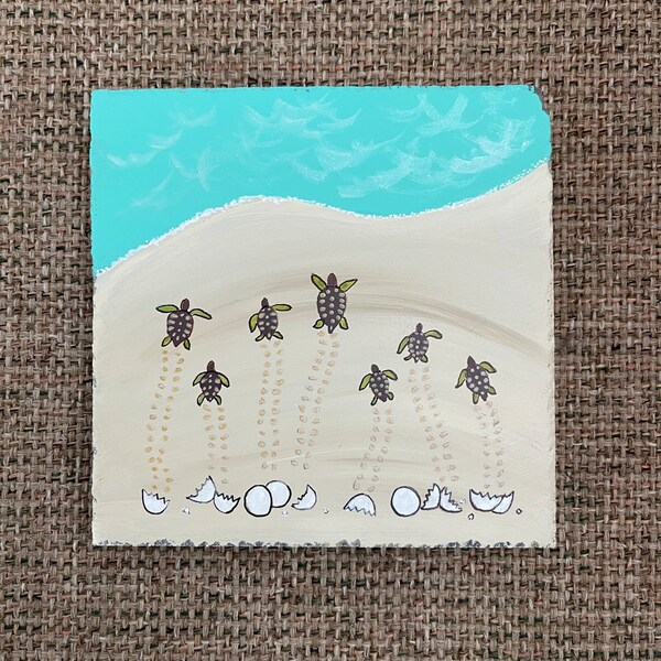 Painted Rock Turtle - Etsy