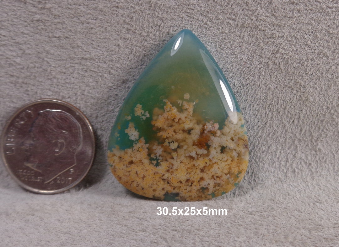 Feather Ridge Plume Agate Backed With Imitation Turquoise - Etsy