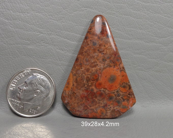 Birds Eye Rhyolite Cabochon - Etsy