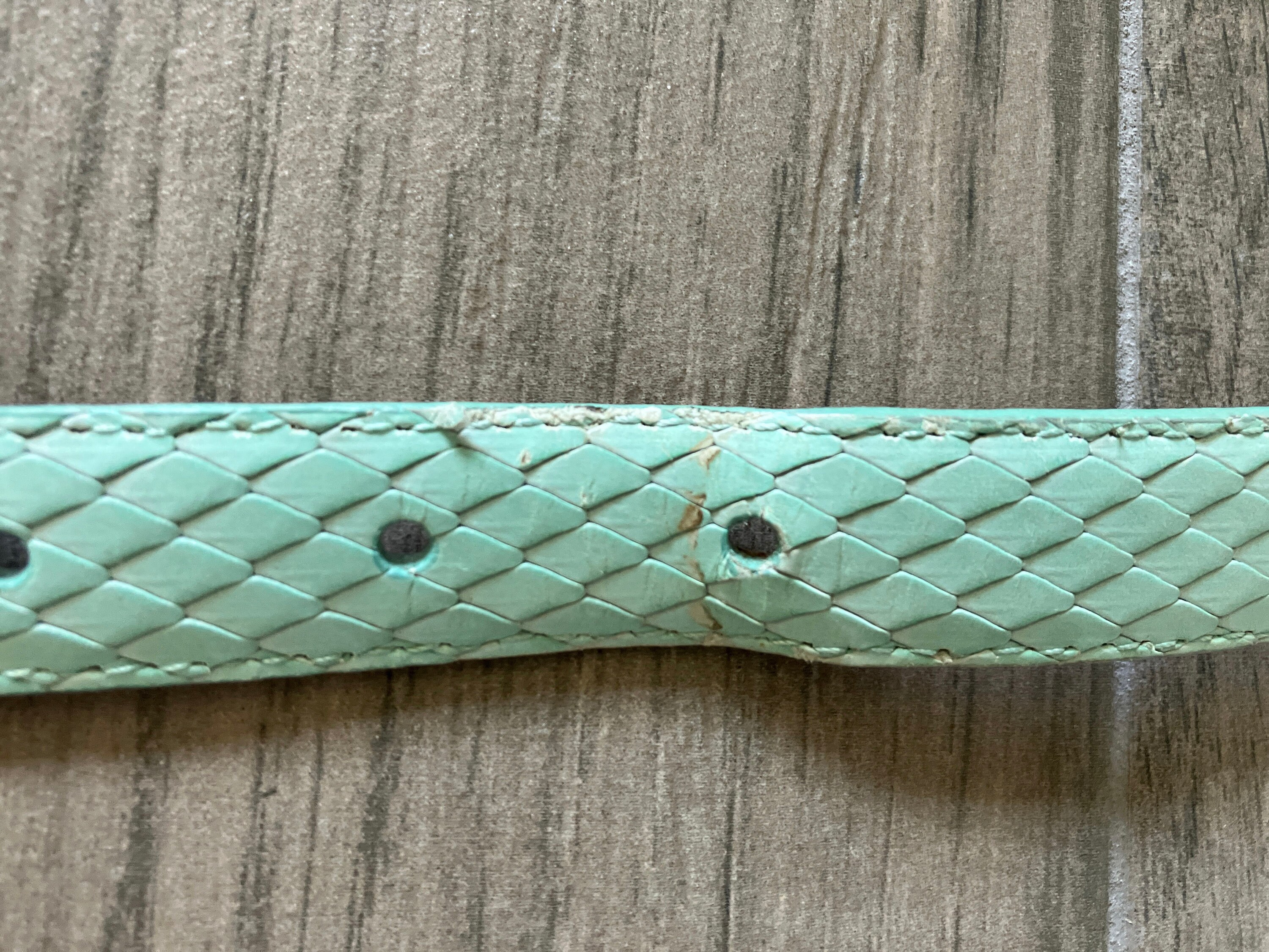 1980s Mint Green Leather Belt Vintage Faux Snakeskin Belt - Etsy