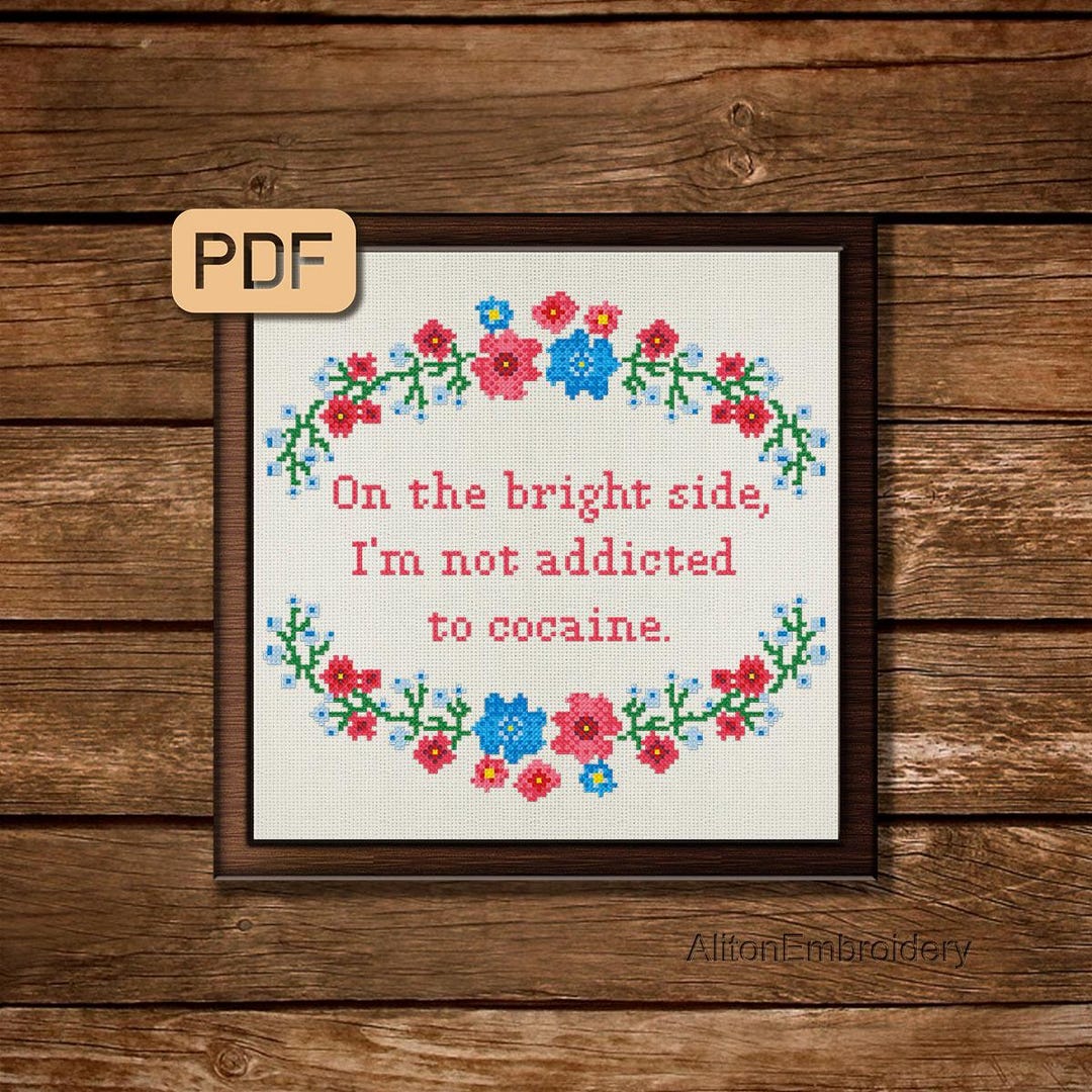 Funny Cross Stitch Pattern Snarky Cross Stitch Pdf Counted Embroidery ...